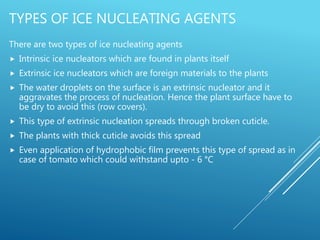 Phase transition - ice nucleation and super cooling in plants | PPTX