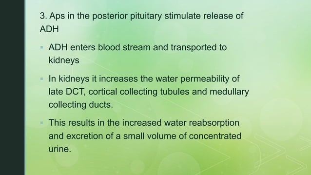 Physiology- regulation of body fluids and osmolality (renal) | PDF