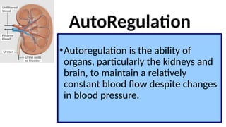 Physiology-renal control of blood pressure | PPTX