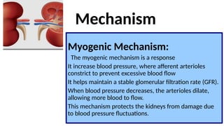 Physiology-renal control of blood pressure | PPTX