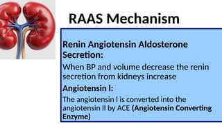 Physiology-renal control of blood pressure | PPTX
