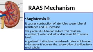 Physiology-renal control of blood pressure | PPTX