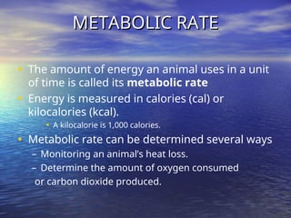 Introduction of animal physiology in vertebrates | PPT