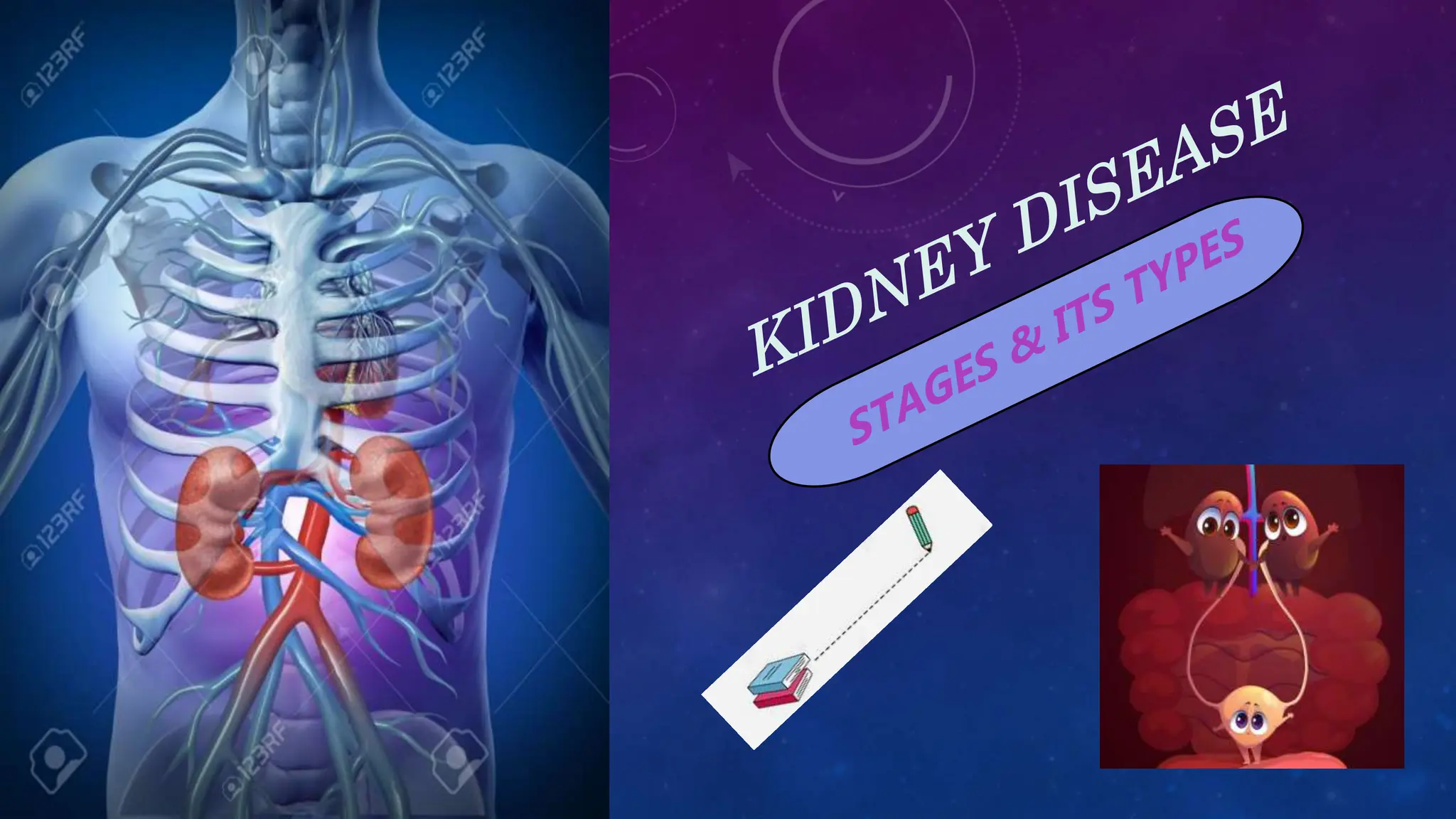 physiology presentation handmade presentation | PPTX
