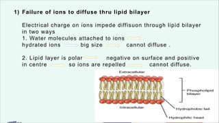 Physiology of membrane physiology nerve and muscles | PDF