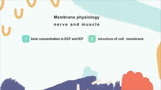 Physiology of membrane physiology nerve and muscles | PPT