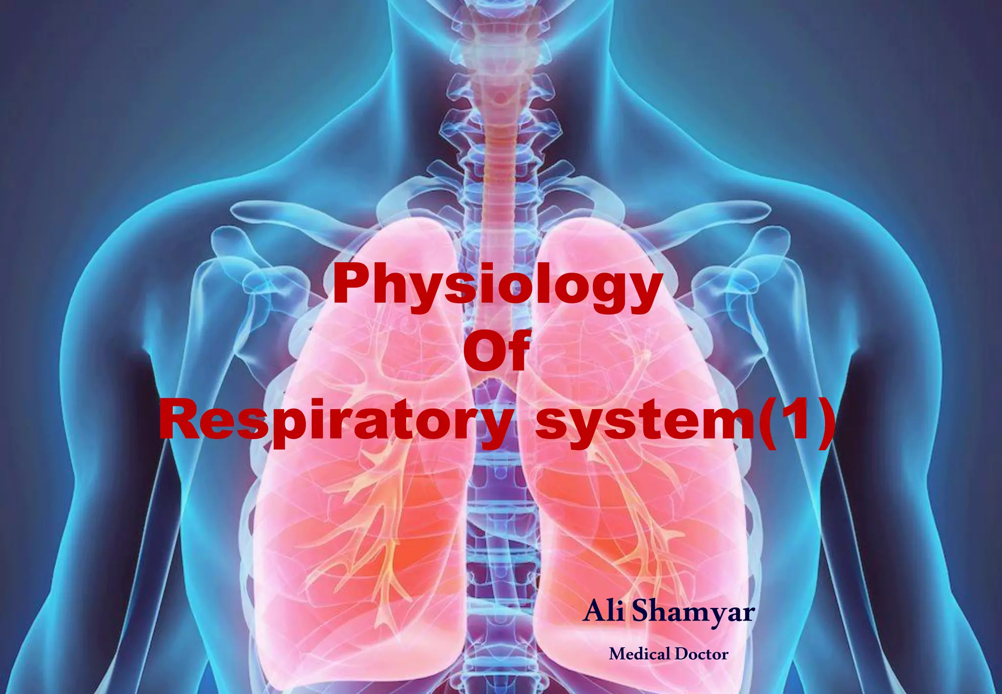 Physiology26 Respiratory System1 Pdf