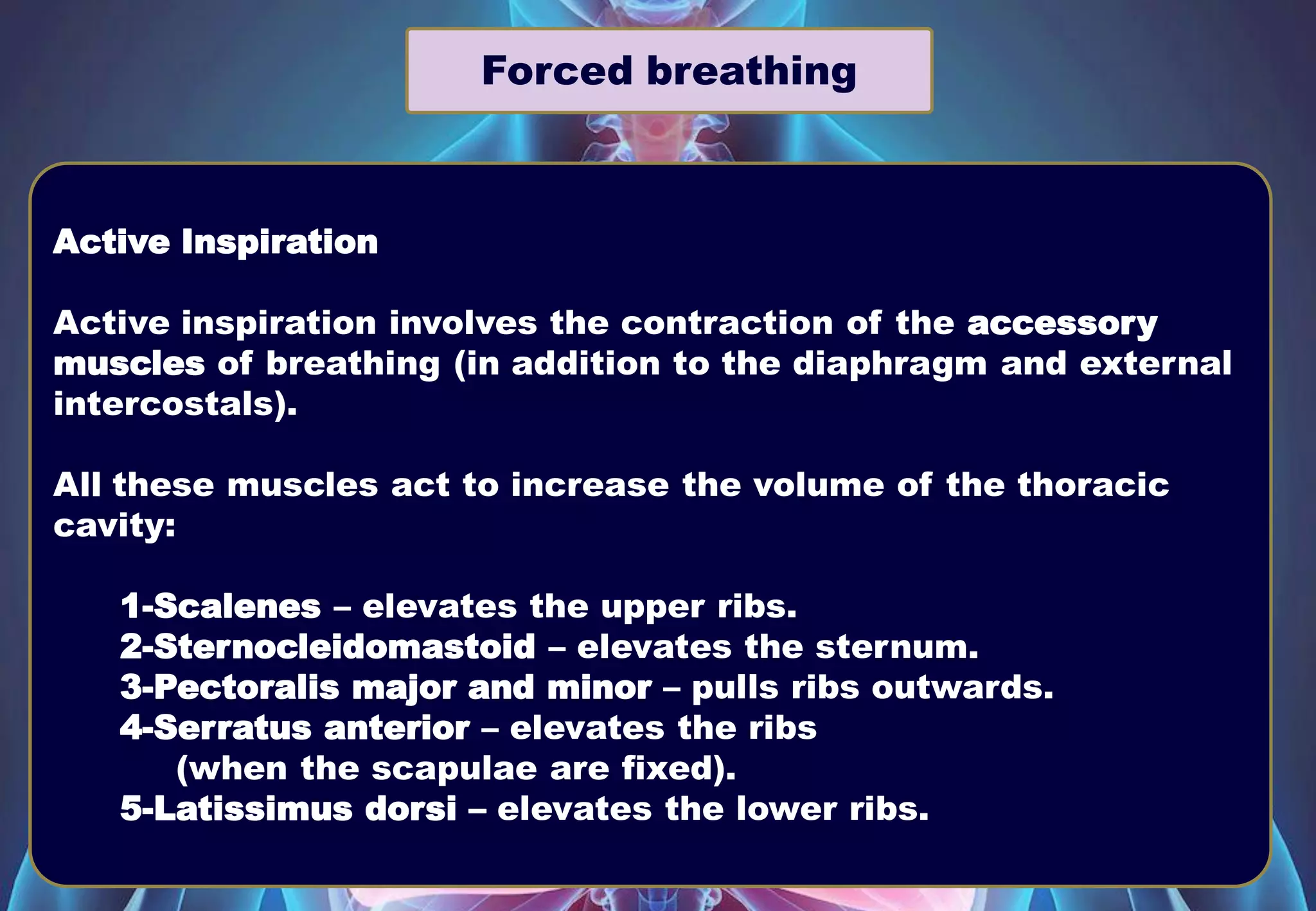 physiology26-respiratory system1.pdf