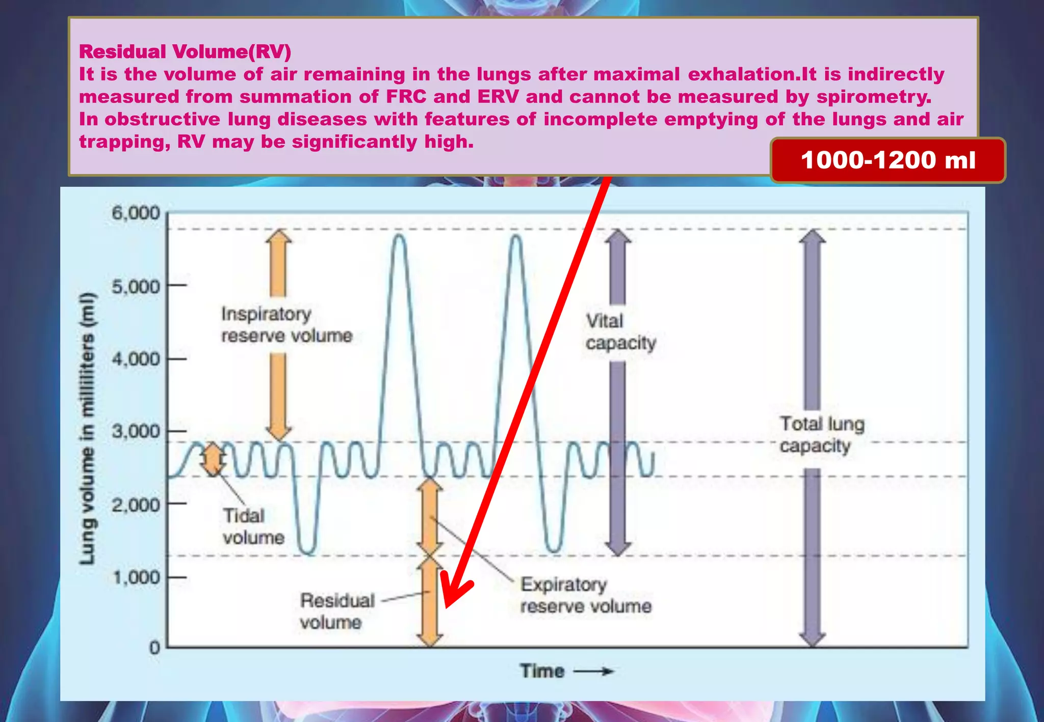 physiology26-respiratory system1.pdf
