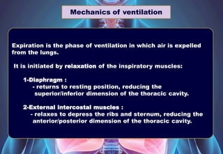 physiology26-respiratory system1.pdf