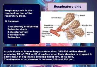 physiology26-respiratory system1.pdf