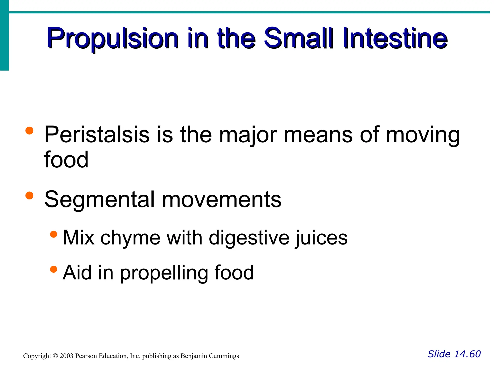 physiology 2 LECTURE 1a Digestive System.ppt