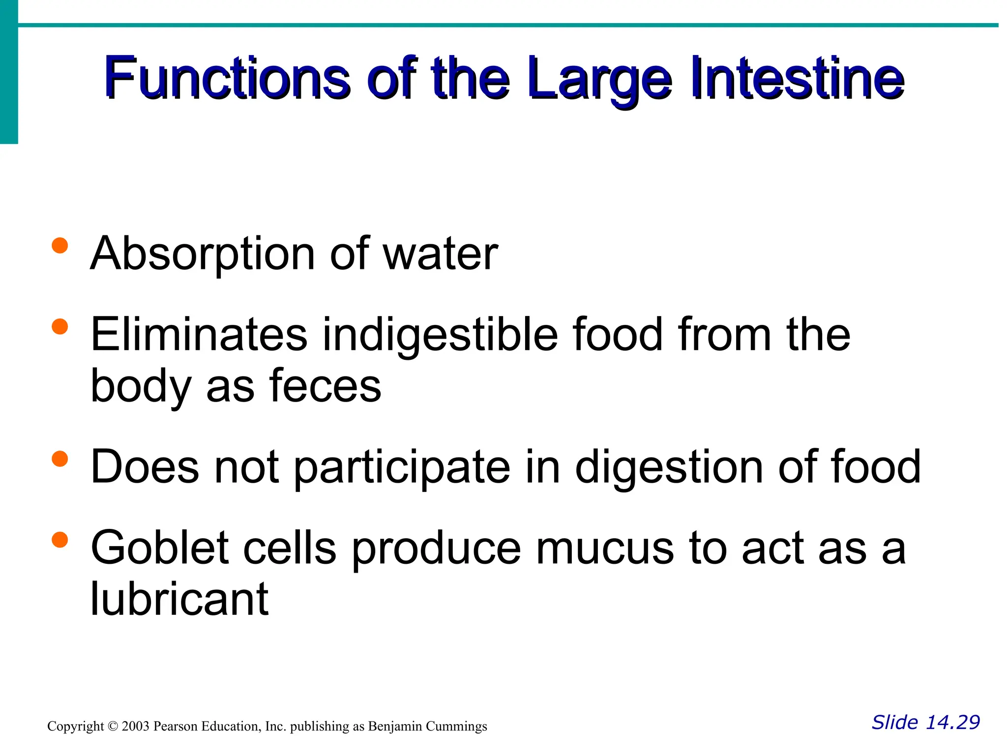 physiology 2 LECTURE 1a Digestive System.ppt