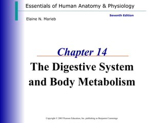 physiology 2 LECTURE 1a Digestive System.ppt