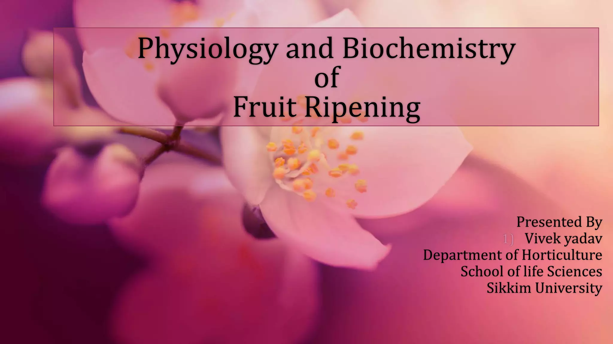 Physiology and biochemistry of ripening fruit | PPTX