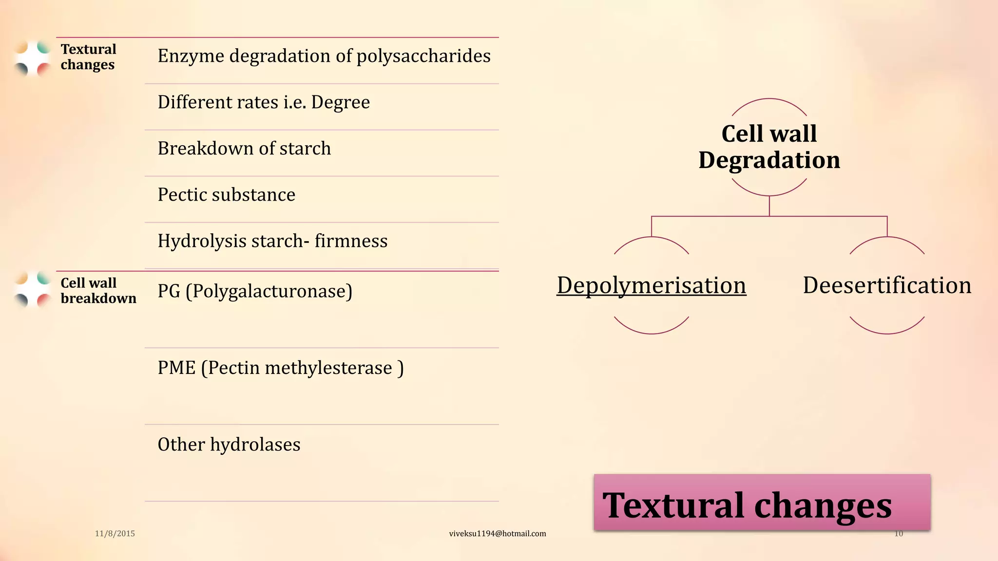 Physiology and biochemistry of ripening fruit | PPTX