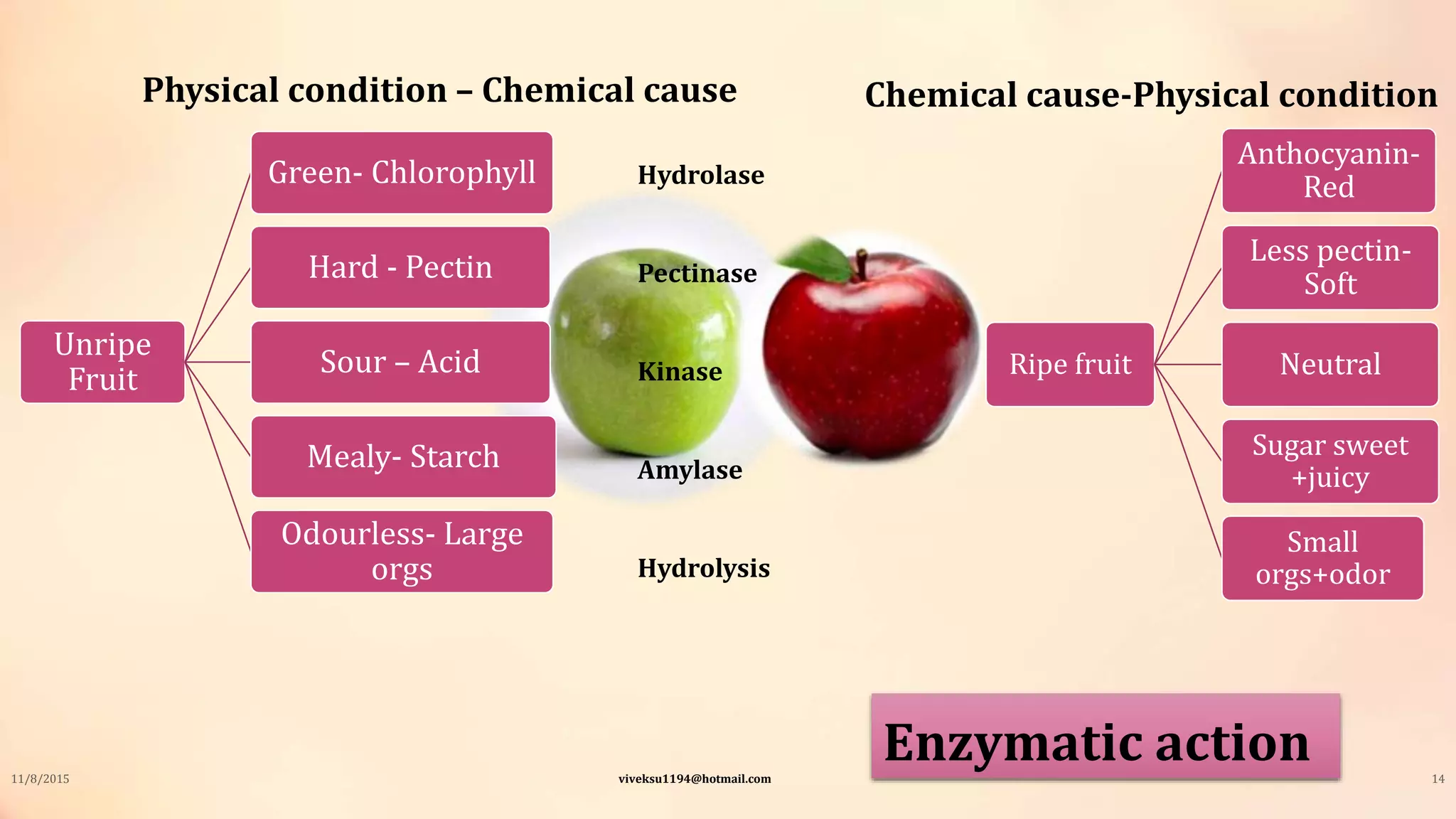 Physiology and biochemistry of ripening fruit | PPTX