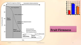 Physiology and biochemistry of ripening fruit | PPTX