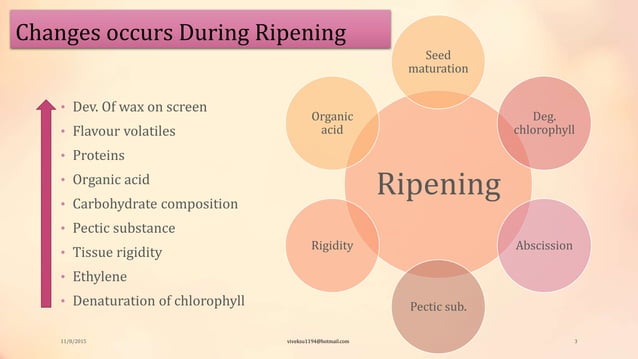 Physiology and biochemistry of ripening fruit | PPTX