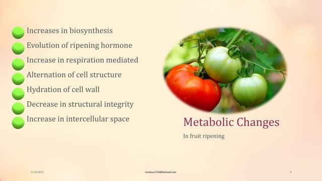 Physiology and biochemistry of ripening fruit | PPTX