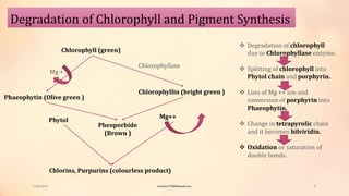 Physiology and biochemistry of ripening fruit | PPTX