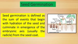physiologyandbiochemistryofseedgermination-220416181315.pptx
