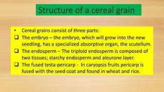 physiologyandbiochemistryofseedgermination-220416181315.pptx
