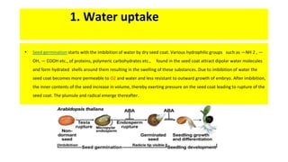 physiologyandbiochemistryofseedgermination-220416181315.pptx