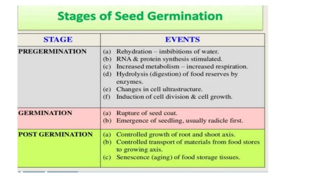 PHYSIOLOGY AND BIOCHEMISTRY OF SEED GERMINATION.pptx | Gardening | Home ...