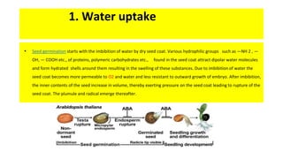 PHYSIOLOGY AND BIOCHEMISTRY OF SEED GERMINATION.pptx