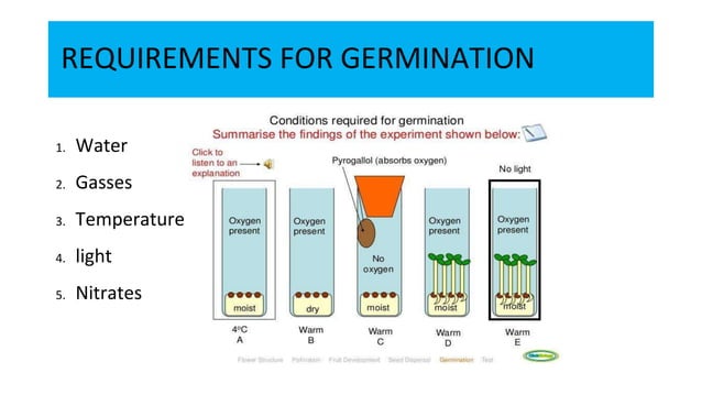 PHYSIOLOGY AND BIOCHEMISTRY OF SEED GERMINATION.pptx | Gardening | Home ...