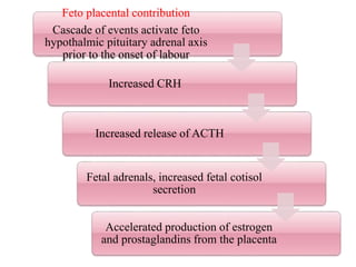 Physiology and causes of labour | PPTX