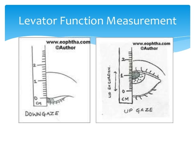 Physiology of the Eyelids and Lacrimal Pump/ Methods of Examination