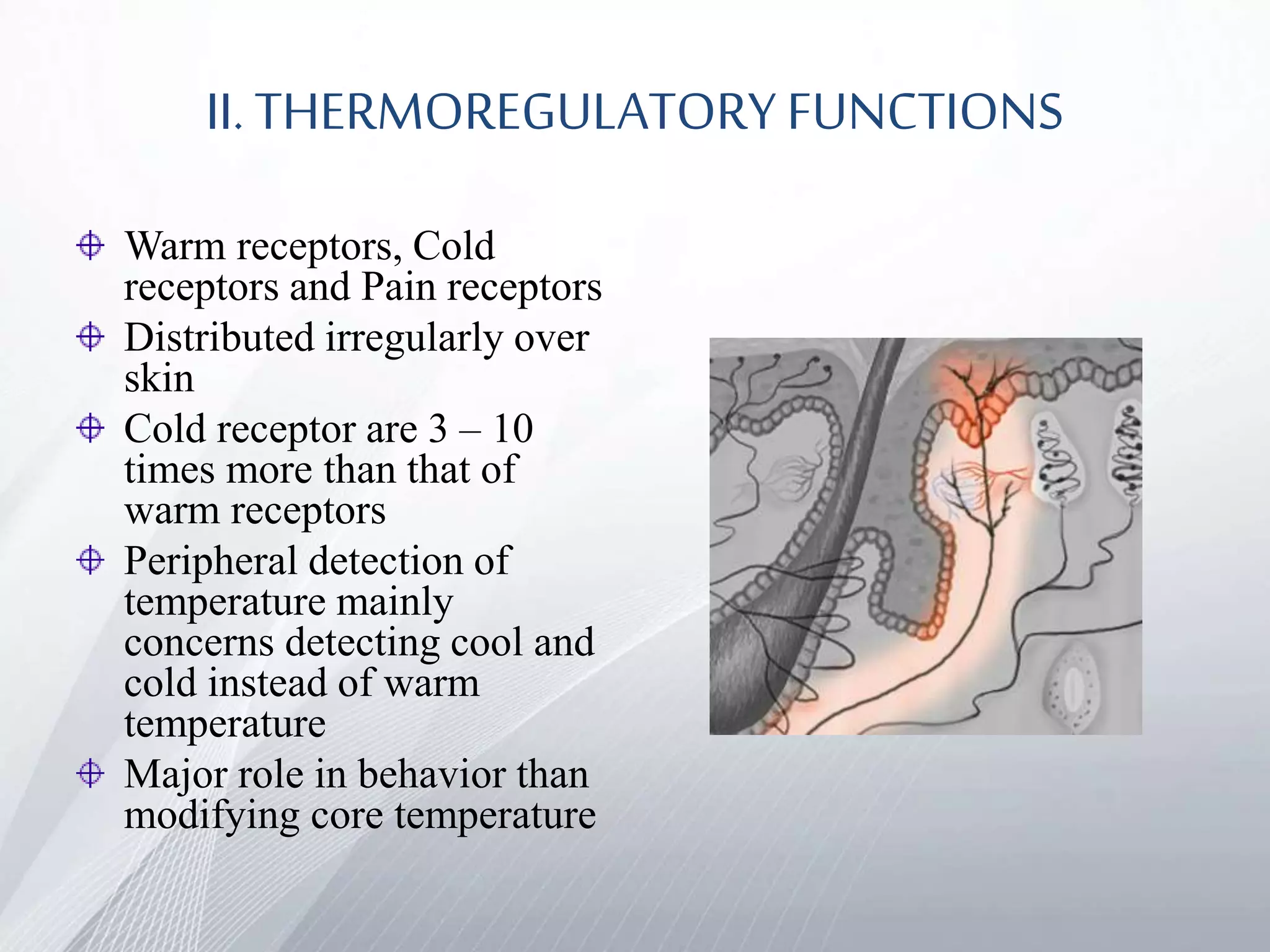 Physiology and functions of Skin | PPTX