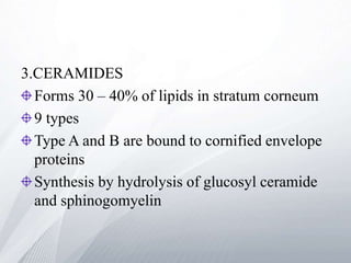 Physiology and functions of Skin | PPTX