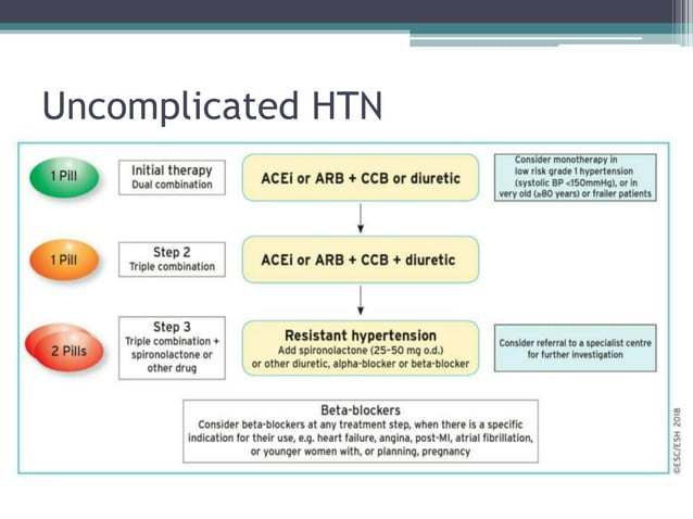 Physiology and guidlines of hypertension | PPT