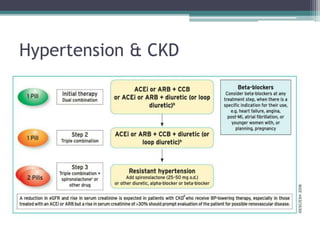 Physiology and guidlines of hypertension | PPT