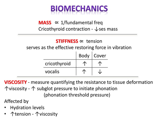 Physiology and neuroanatomy of phonation | PDF | Ear, Nose and Throat ...