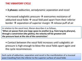 Physiology and neuroanatomy of phonation | PDF