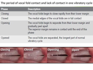 Physiology and neuroanatomy of phonation | PDF