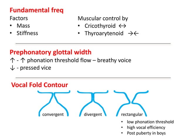 Physiology and neuroanatomy of phonation | PDF | Ear, Nose and Throat ...
