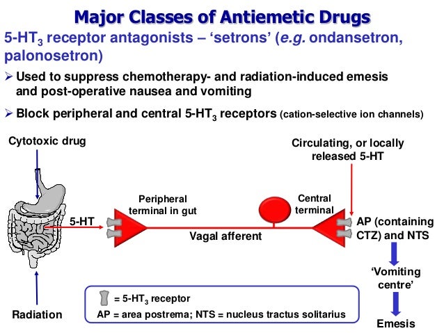 Physiology and pharmacology of nausea and emesis 2015 jap