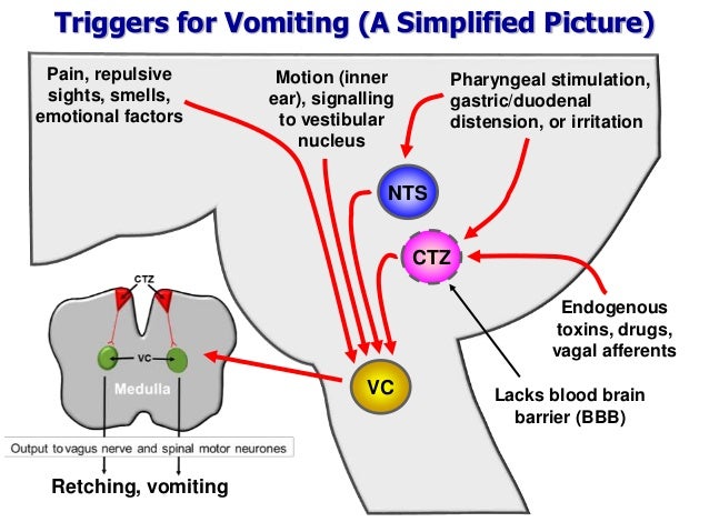 Physiology and pharmacology of nausea and emesis 2015 jap