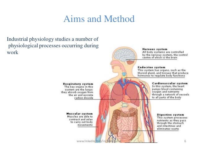 Physiology and psychology