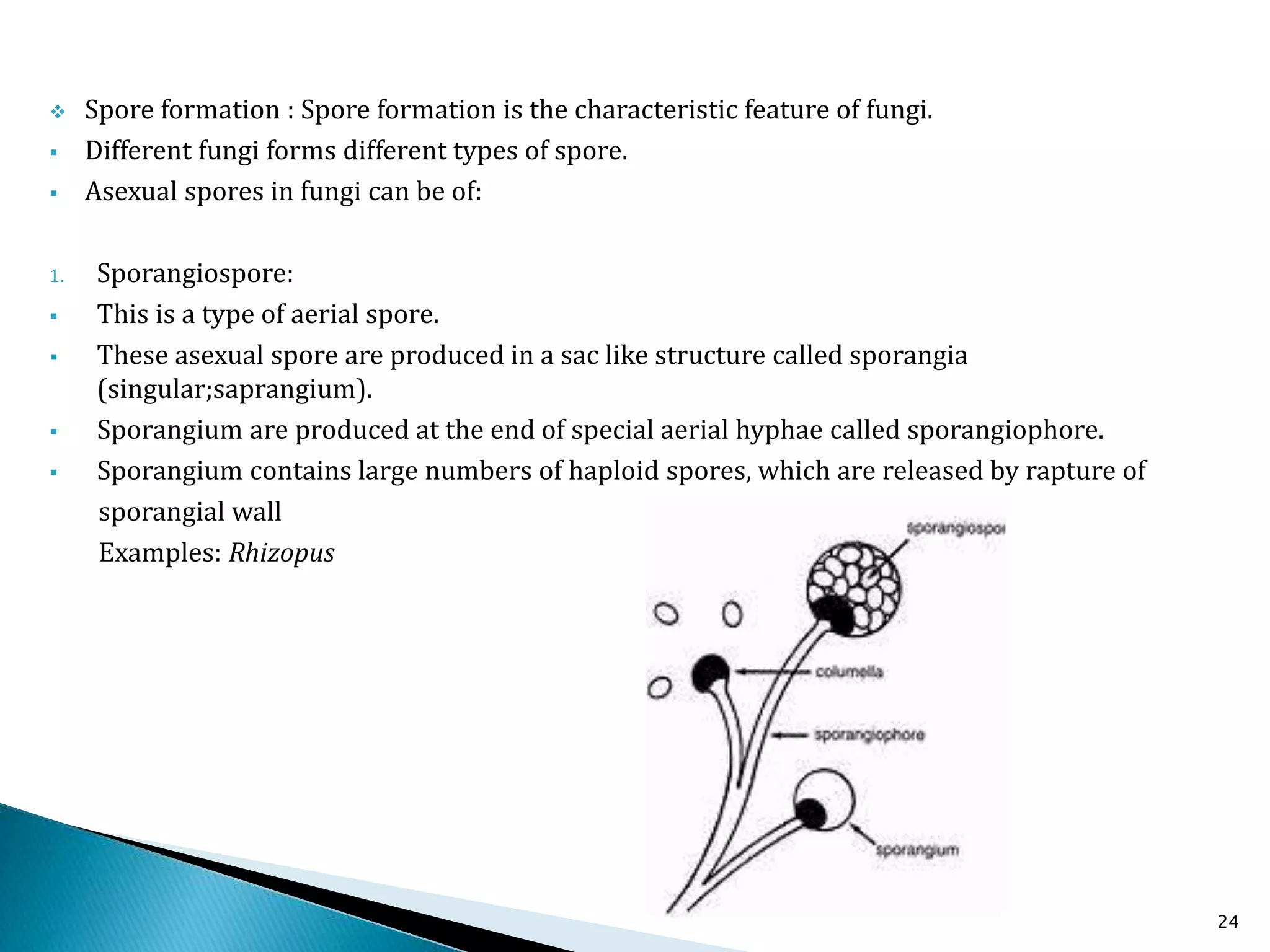 Physiology and reproduction in fungi | PPTX