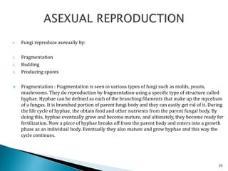 Physiology and reproduction in fungi | PPTX