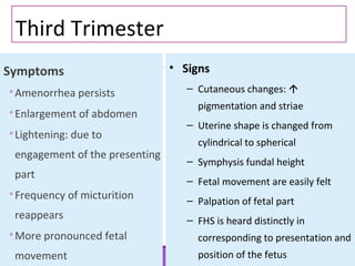 Physiology and Signs of Pregnancy | PPT