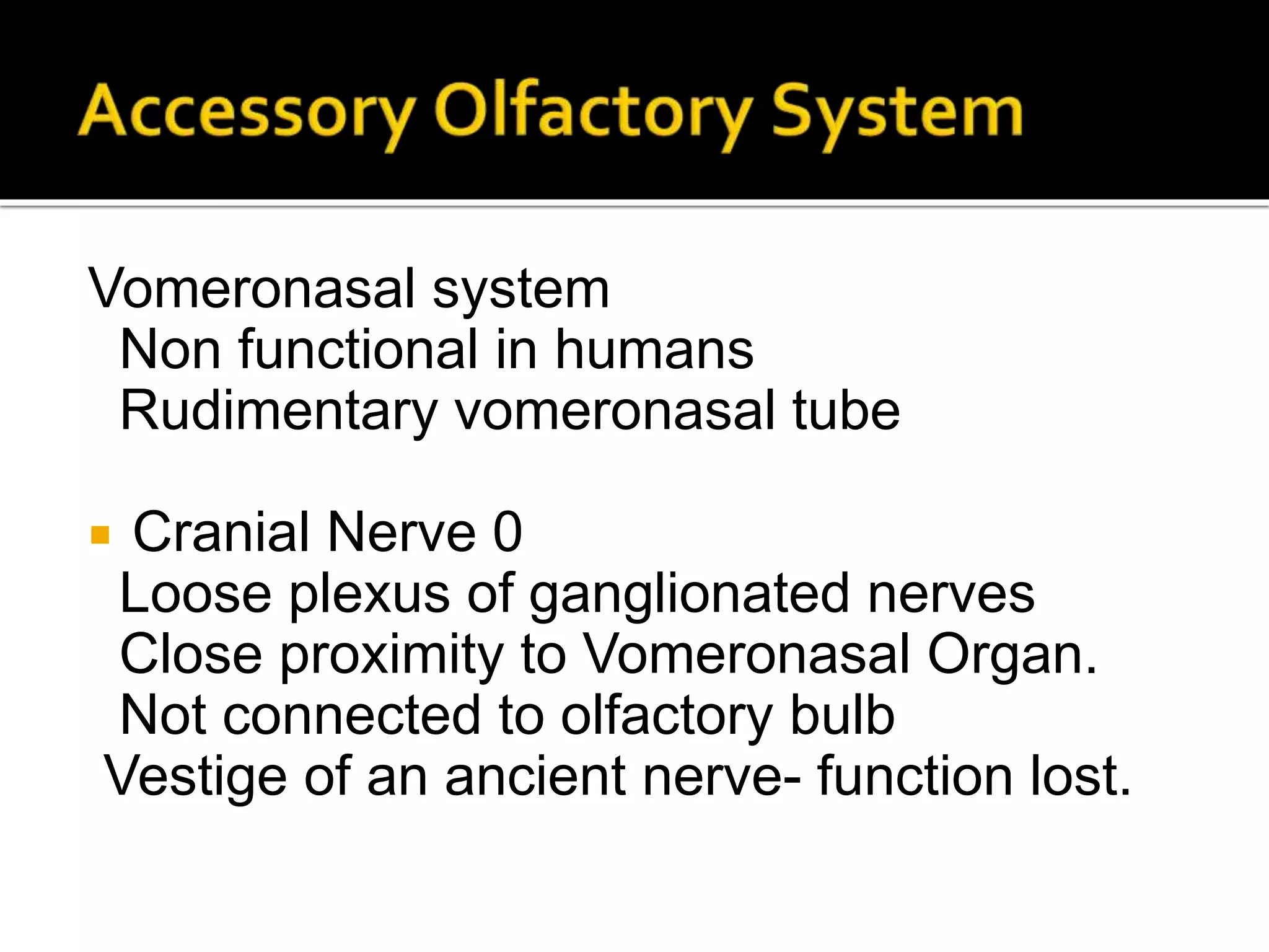 Physiology and theories of olfaction | PPTX