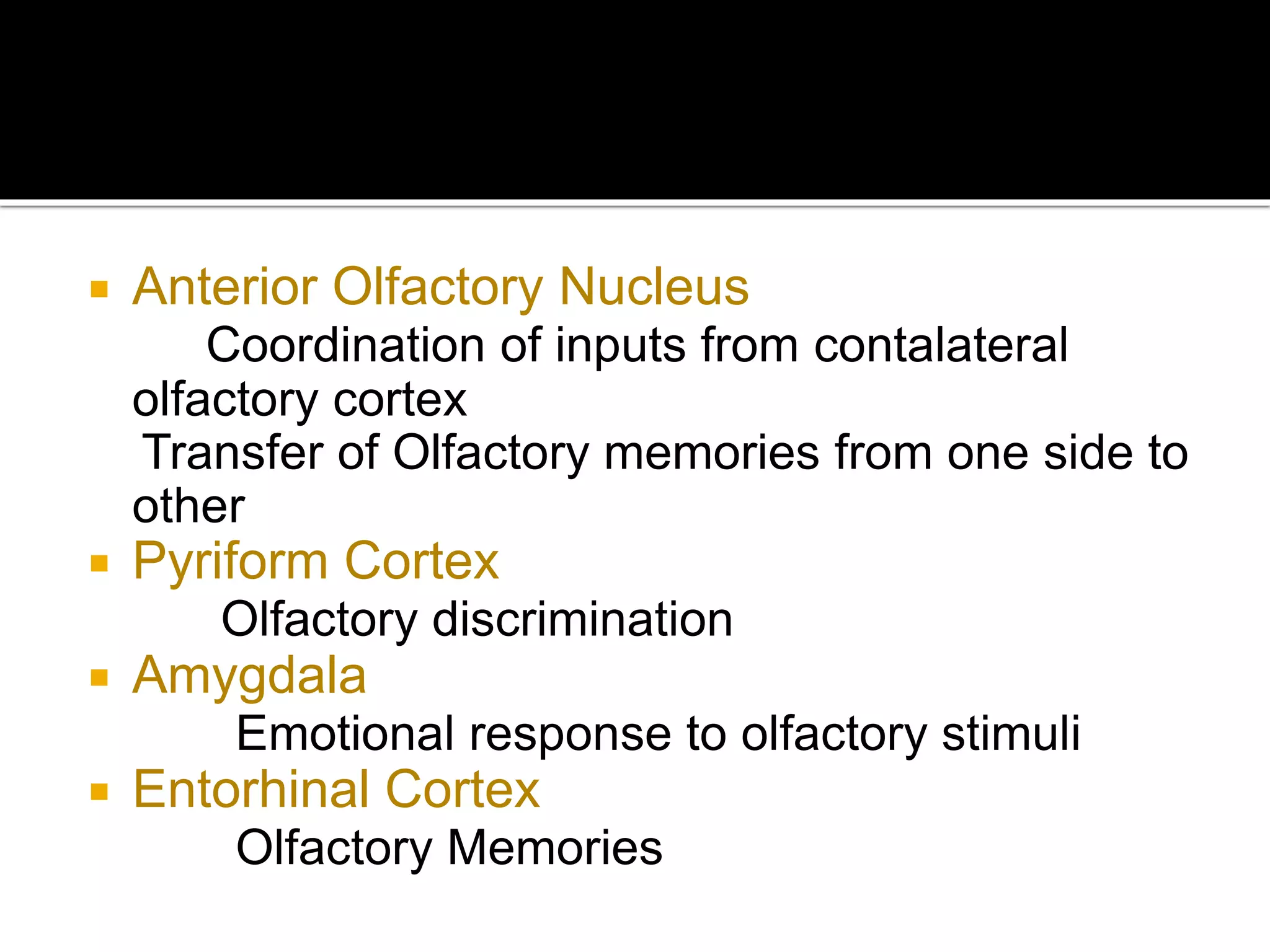 Physiology and theories of olfaction | PPTX