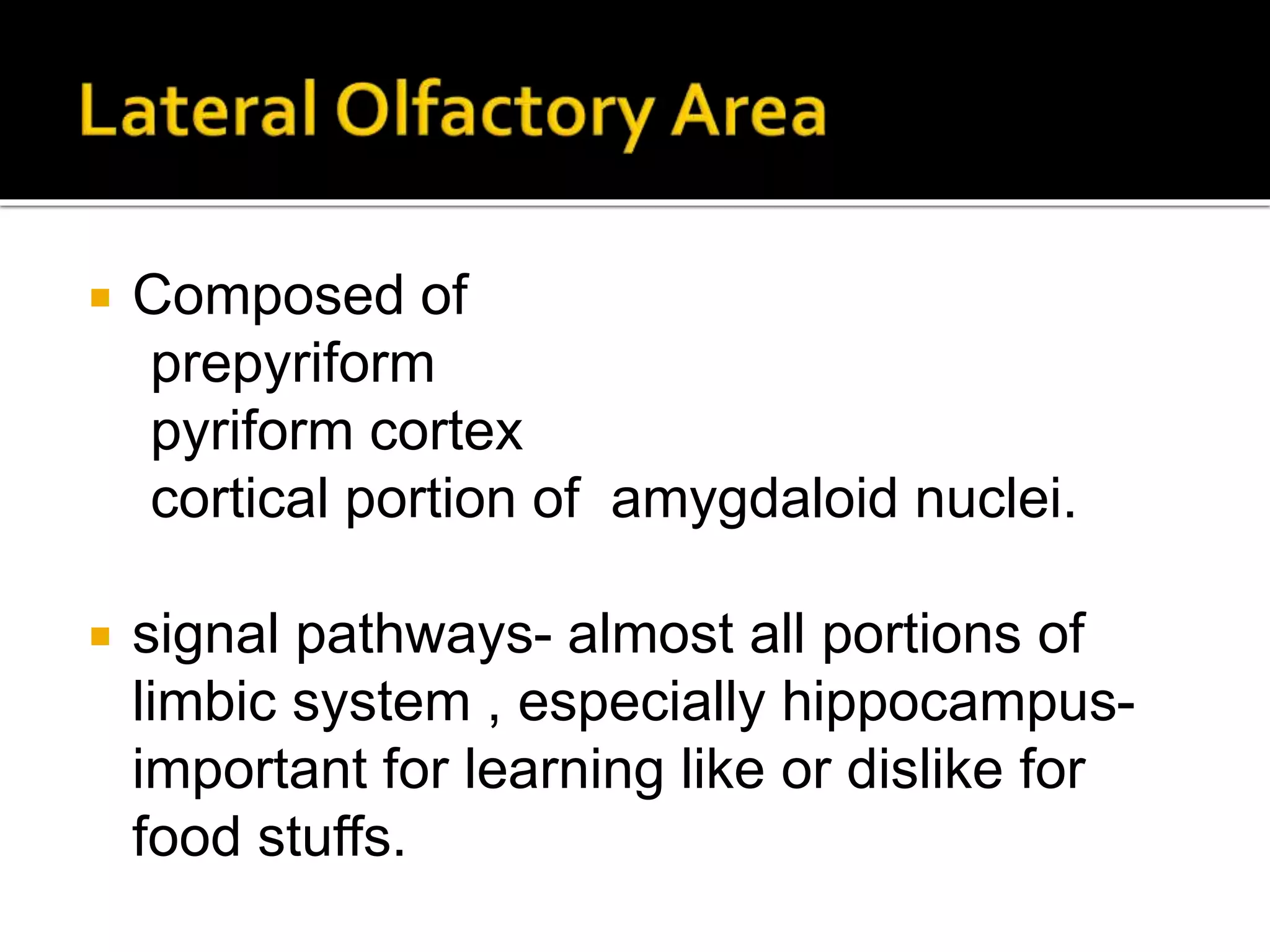 Physiology and theories of olfaction | PPTX